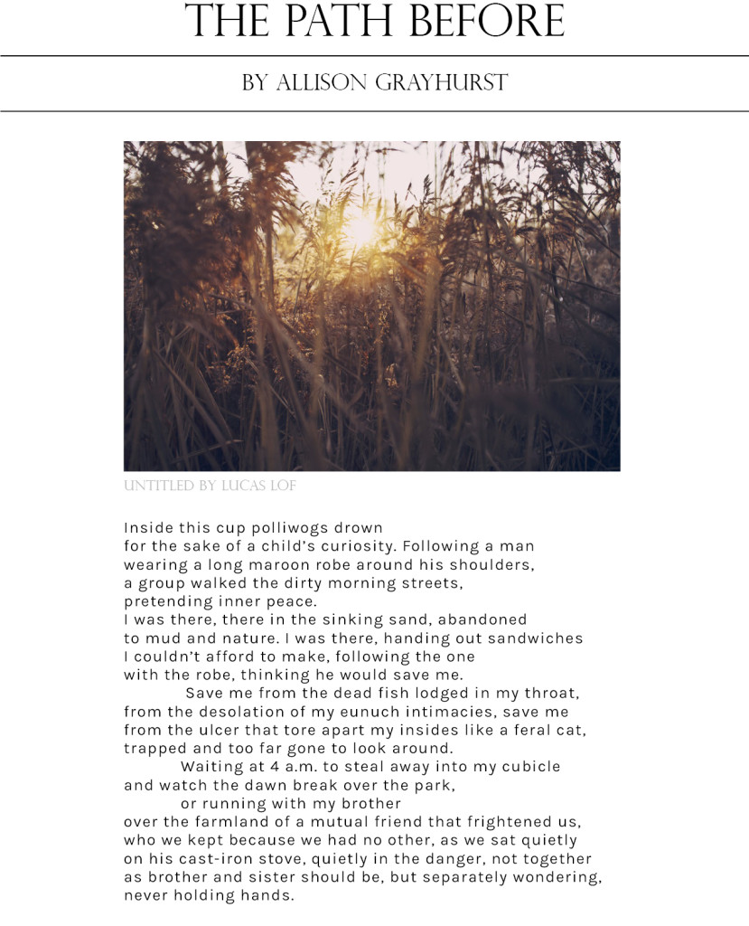 Two Poems by Allison Grayhurst