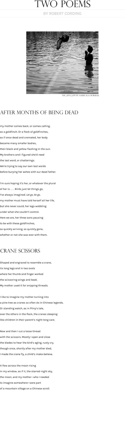 Two Poems by Robert Cording